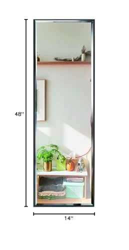 PETAFLOP 14x48 Inch Full Length Mirror Wall Mounted Rose Gold and Silver