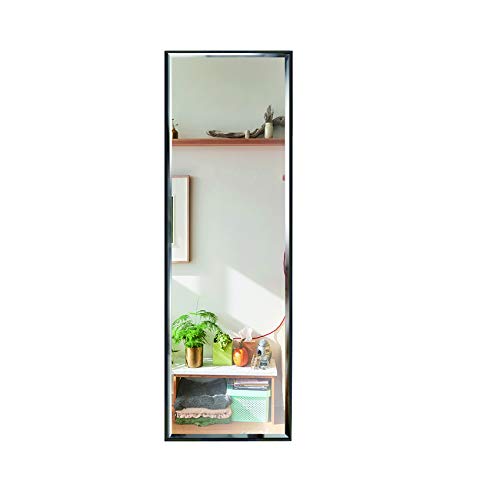 PETAFLOP 14x48 Inch Full Length Mirror Wall Mounted Rose Gold and Silver