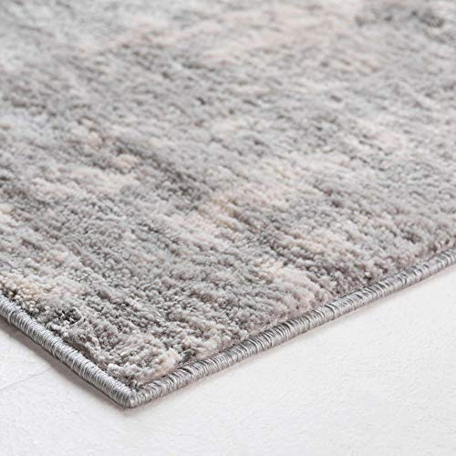 Rugs.com Caspian Collection Area Rug β 4' x 6' Gray Low-Pile Rug Perfect for Entryways, Kitchens, Breakfast Nooks, Accent Pieces