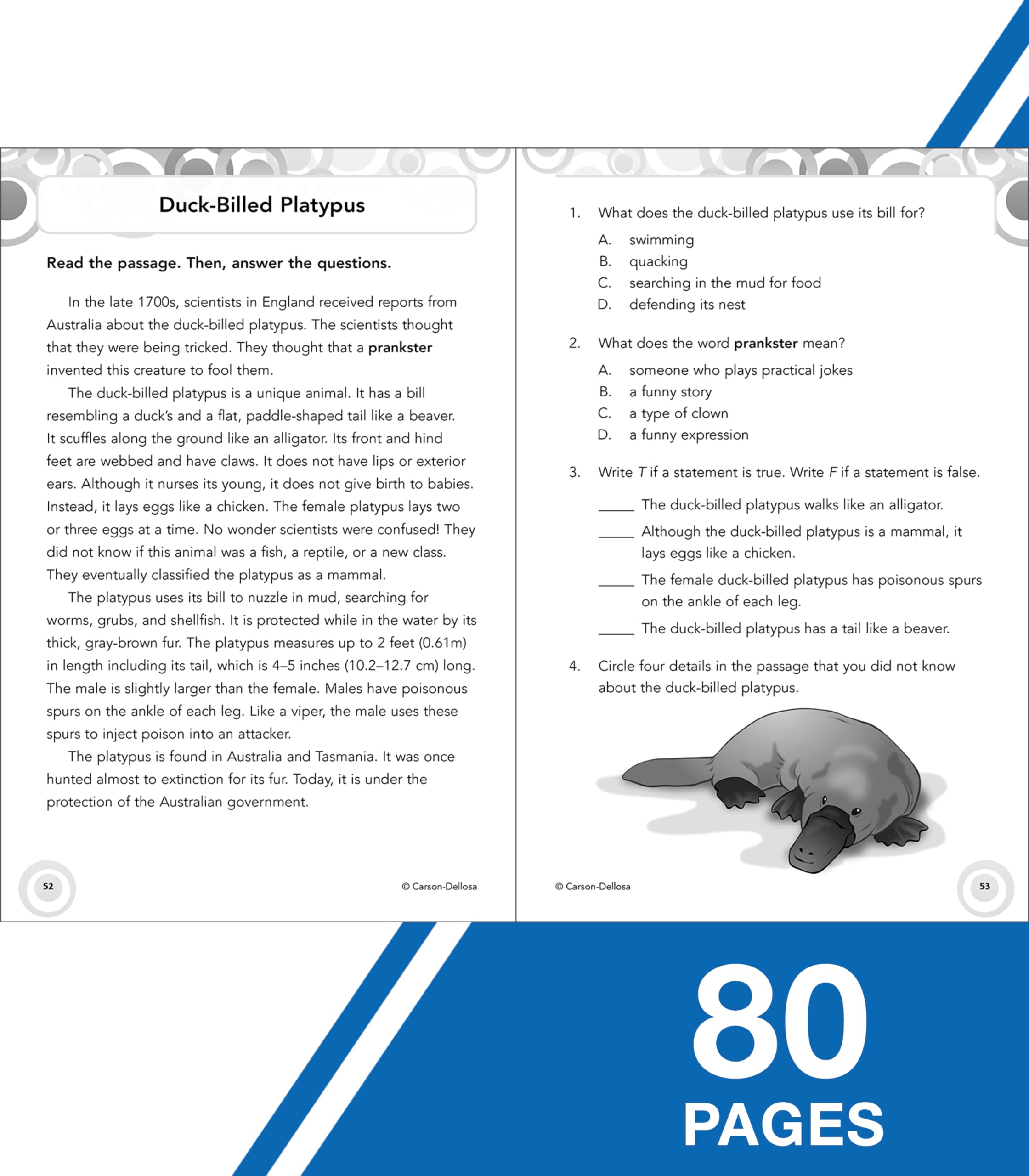Carson Dellosa | Skill Builders Reading Comprehension Workbook | 5th Grade, 80pgs
