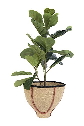 Creative Co-Op 15" & 16" Handwoven Natural Seagrass Jute Trim (Set of 2 Sizes) Baskets, Multicolor