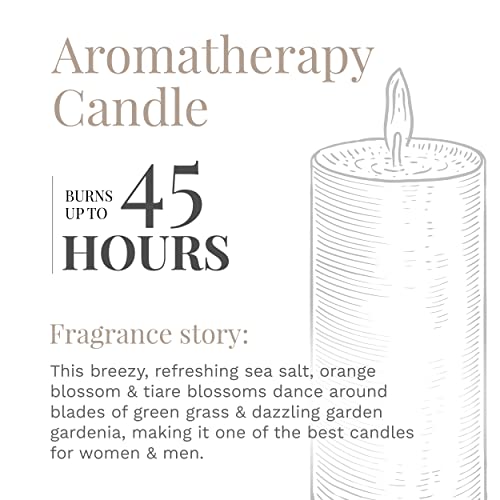 Candle-lite Premium Tiare Flower Scent, 14 oz. 3-Wick Aromatherapy Candle with up to 45 Hours of Burn Time, White