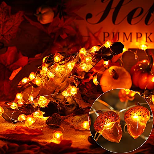 Mudder Acorn Valentine's Day Heart String Lights Decor 16.4FT 50 LEDs Heart Fairy Light Battery and USB Powered with Remote for Indoor Outdoor Wedding Party(Acorn,White)
