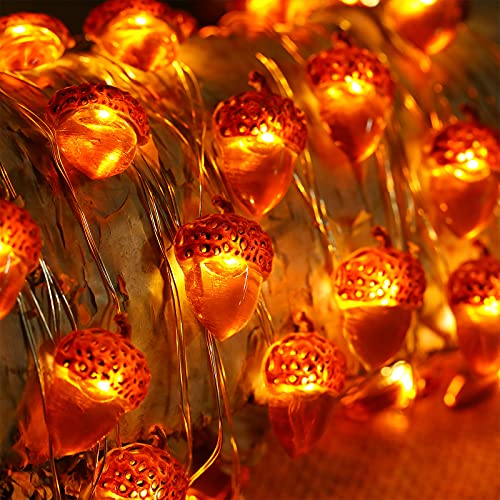 Mudder Acorn Valentine's Day Heart String Lights Decor 16.4FT 50 LEDs Heart Fairy Light Battery and USB Powered with Remote for Indoor Outdoor Wedding Party(Acorn,White)