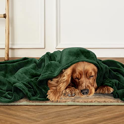 PAVILIA Fleece Blanket Throw | Super Soft, Plush, Luxury Flannel Throw | Lightweight Microfiber Blanket for Sofa Couch Bed (Emerald Green, 50x60 inches)