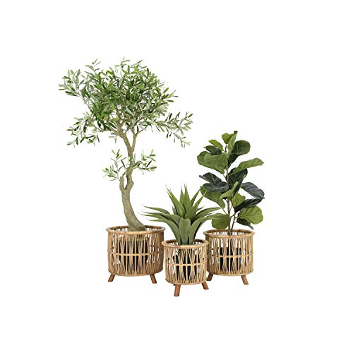 Creative Co-Op 11.25", 13.5" & 15.75" Woven Bamboo Footed (Set of 3 Sizes) Baskets, Beige
