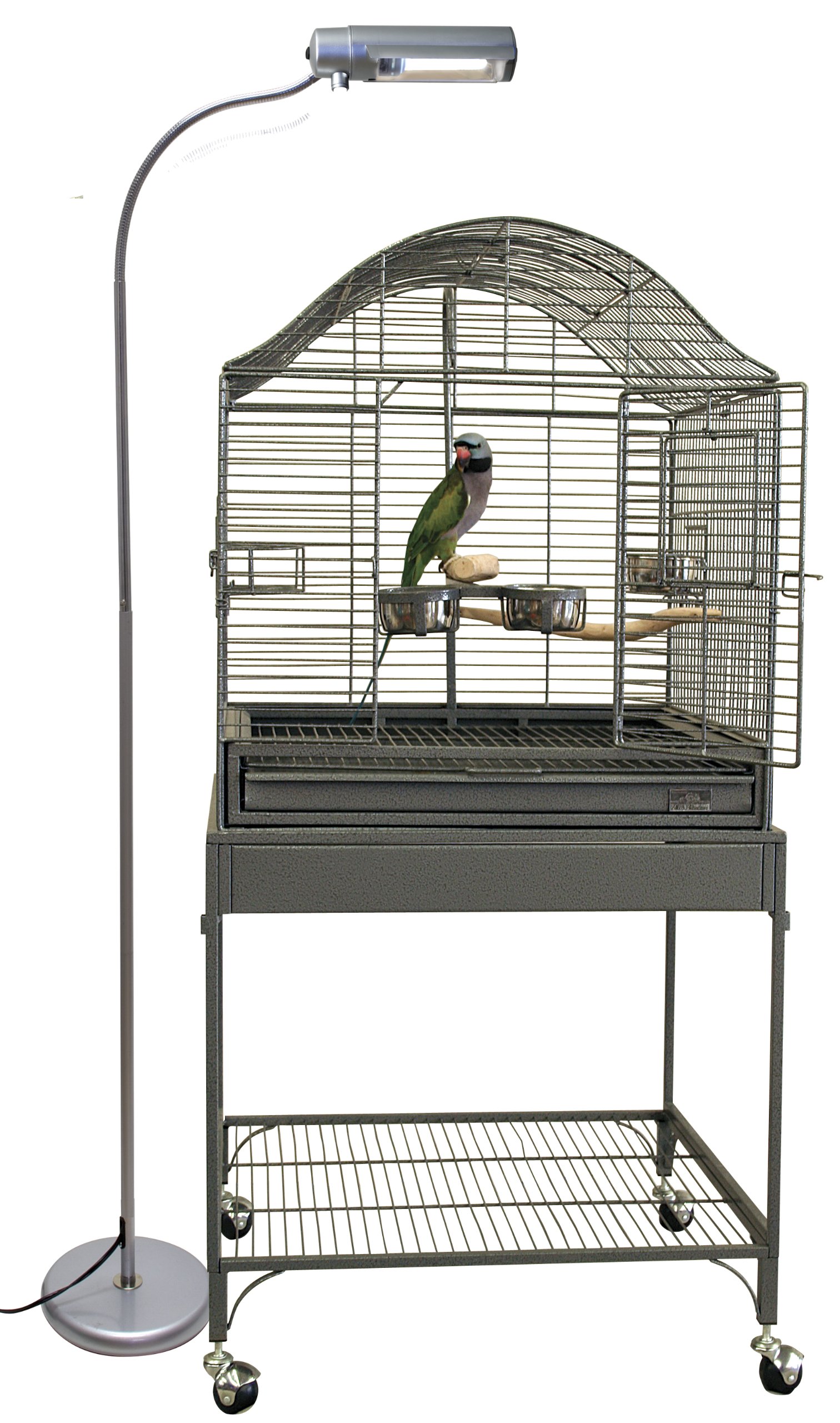 AvianSun Deluxe Floor Lamp(Bulb not Included)
