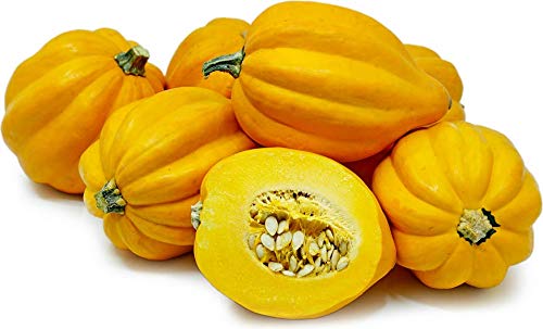 PAPCOOL 10 Table Gold ACọrn Squạsh S.e.e.ds Orange ACọrn Squạsh S.e.e.ds