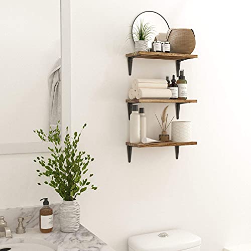 Wallniture Arras Rustic Wood Floating Shelves for Wall Storage, Wall Shelves for Living Room, Burnt Finish Plant Shelf Set of 3