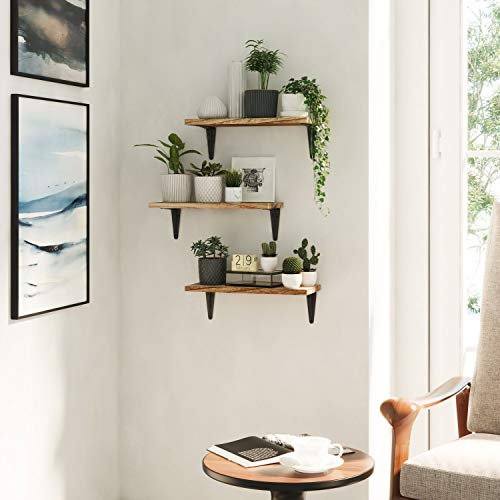 Wallniture Arras Rustic Wood Floating Shelves for Wall Storage, Wall Shelves for Living Room, Burnt Finish Plant Shelf Set of 3