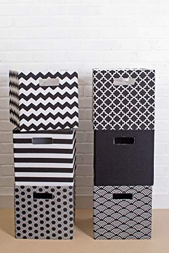 DII Poly-Cube Storage Collection Hard Sided, Collapsible Solid, Large, Black