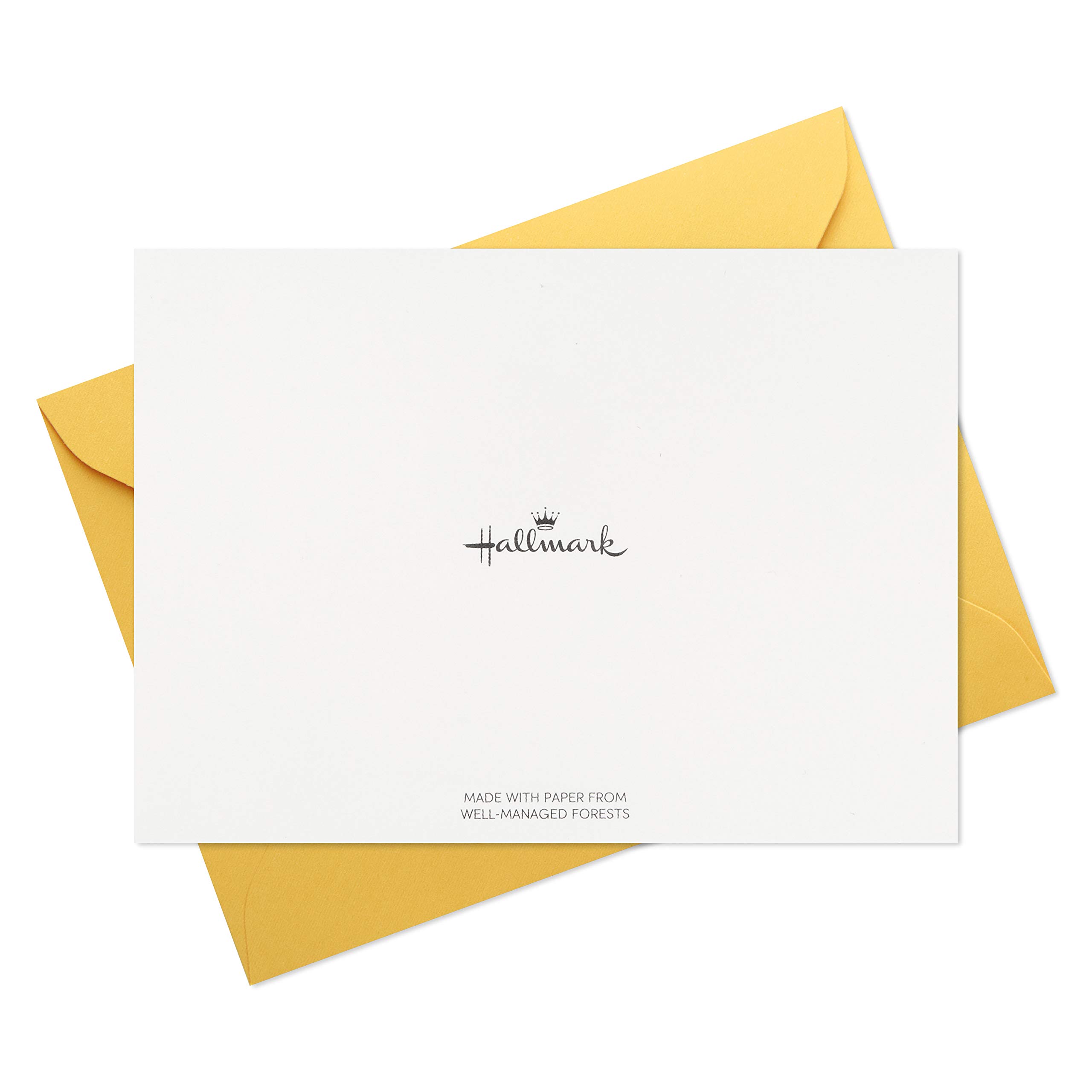 Hallmark Easter Cards, Blank Cards Assortment (24 Cards with Envelopes, Spring Flowers and Butterflies)