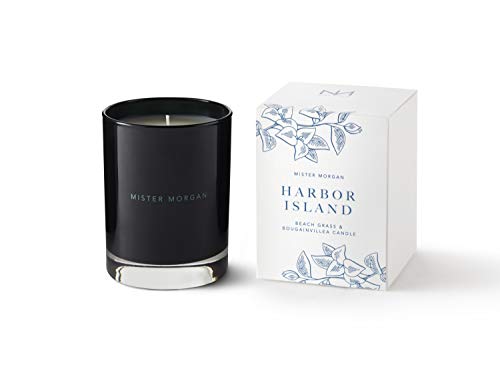 Mister Morgan Harbor Island, Beach Grass and Bougainvillea Candle, 11 Ounces
