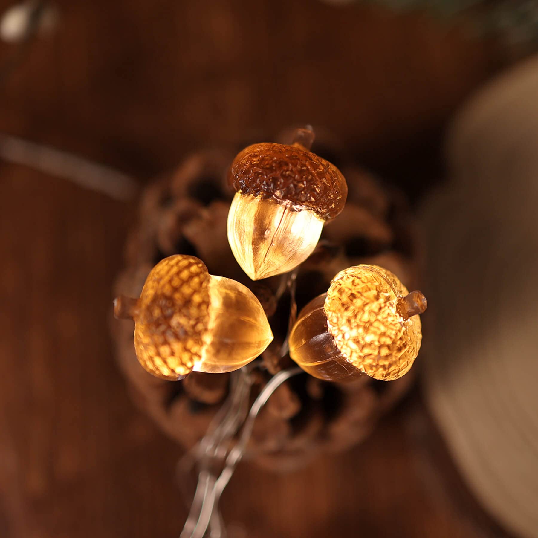 JASHIKA 3D Twinkle Acorn Fall Decorations Harvest String Lights 10ft Copper Wire 30 LEDs Battery Powered with Timer Remote Control for Wedding Bedroom Fireplace Mantel Ice Age Ornaments Home Decor