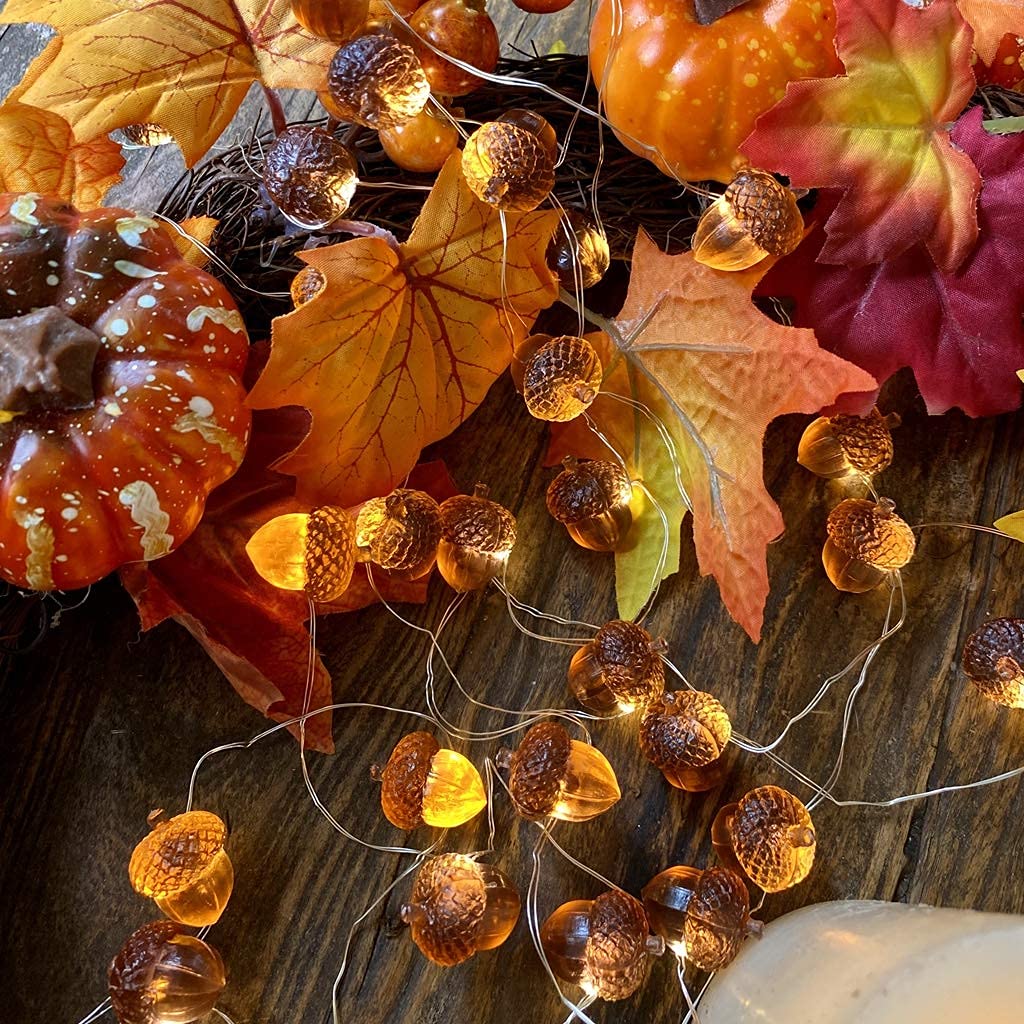 JASHIKA 3D Twinkle Acorn Fall Decorations Harvest String Lights 10ft Copper Wire 30 LEDs Battery Powered with Timer Remote Control for Wedding Bedroom Fireplace Mantel Ice Age Ornaments Home Decor