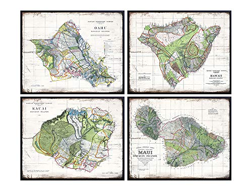 Rustic Hawaii Wall Decor Set - 8x10 Vintage Hawaiian Islands Decoration of Maui, Kauai, Oahu for Beach House, Ocean Home, Living Room, Office, Bedroom - Unique Gift for Tropical Art Fans - UNFRAMED