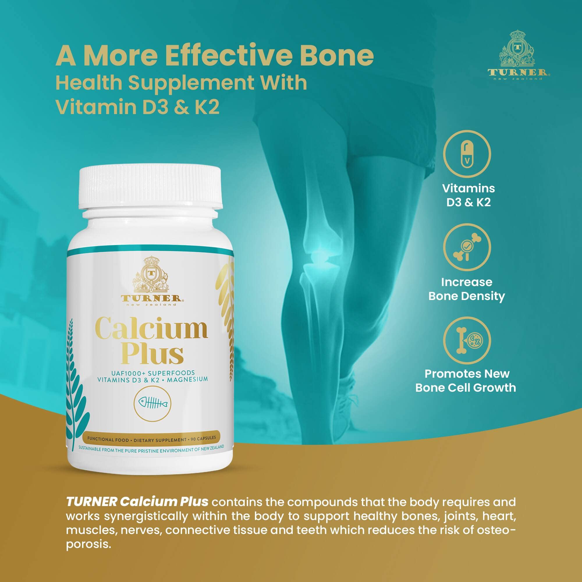 TURNER Calcium Plus, All-Natural Marine Calcium Supplement, with UAF1000+ Super Antioxidant, Magnesium + Vitamins K2 & D3, Supports Bone Density & Joint Health, 6 Bottles, 540 caps, 6 Month Supply