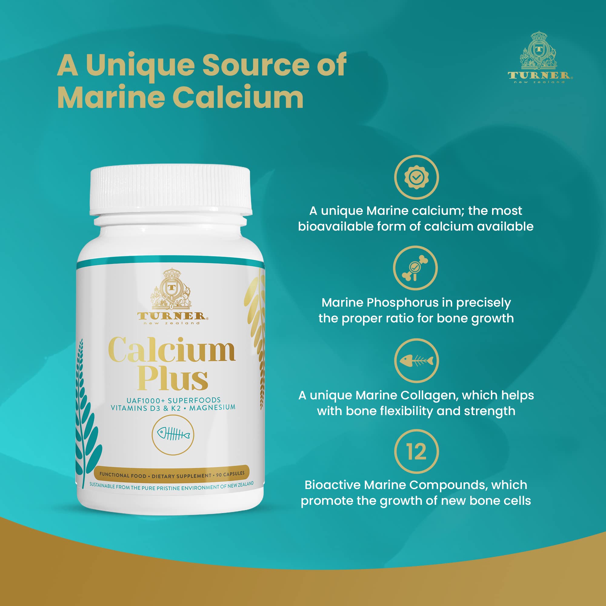TURNER Calcium Plus, All-Natural Marine Calcium Supplement, with UAF1000+ Super Antioxidant, Magnesium + Vitamins K2 & D3, Supports Bone Density & Joint Health, 6 Bottles, 540 caps, 6 Month Supply