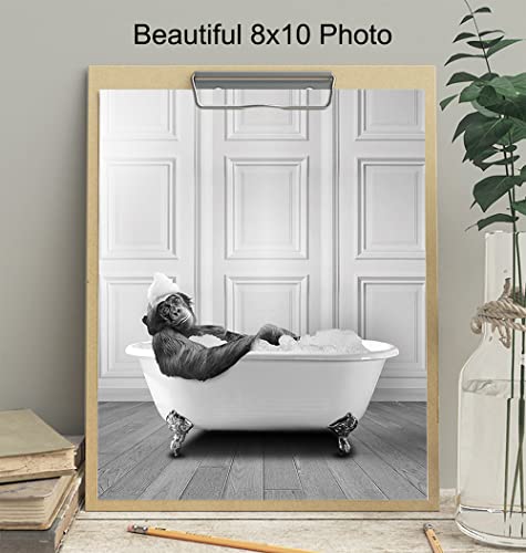 Funny Bathroom Decor for Men, Women - Cute Modern Bathroom Accessories - Bathroom Pictures - Bath Wall Decor - Monkey Chimp Wall Art - Cool Unique Bathroom Sign - Powder Room - Guest Bathroom Poster