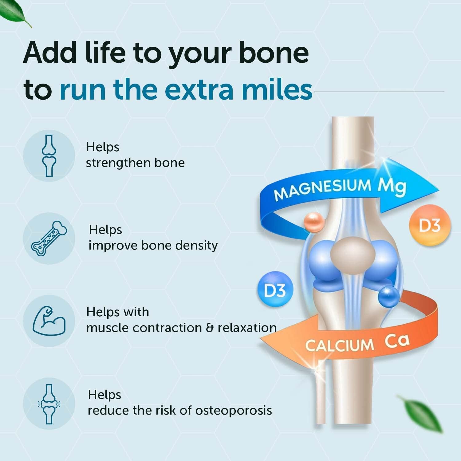 Sheltr True Calcium 1000mg Supplement for Men & Women with Plant Based Vitamin D3 & Natural Magnesium for Healthy Bones - 60 Vegan Tablets