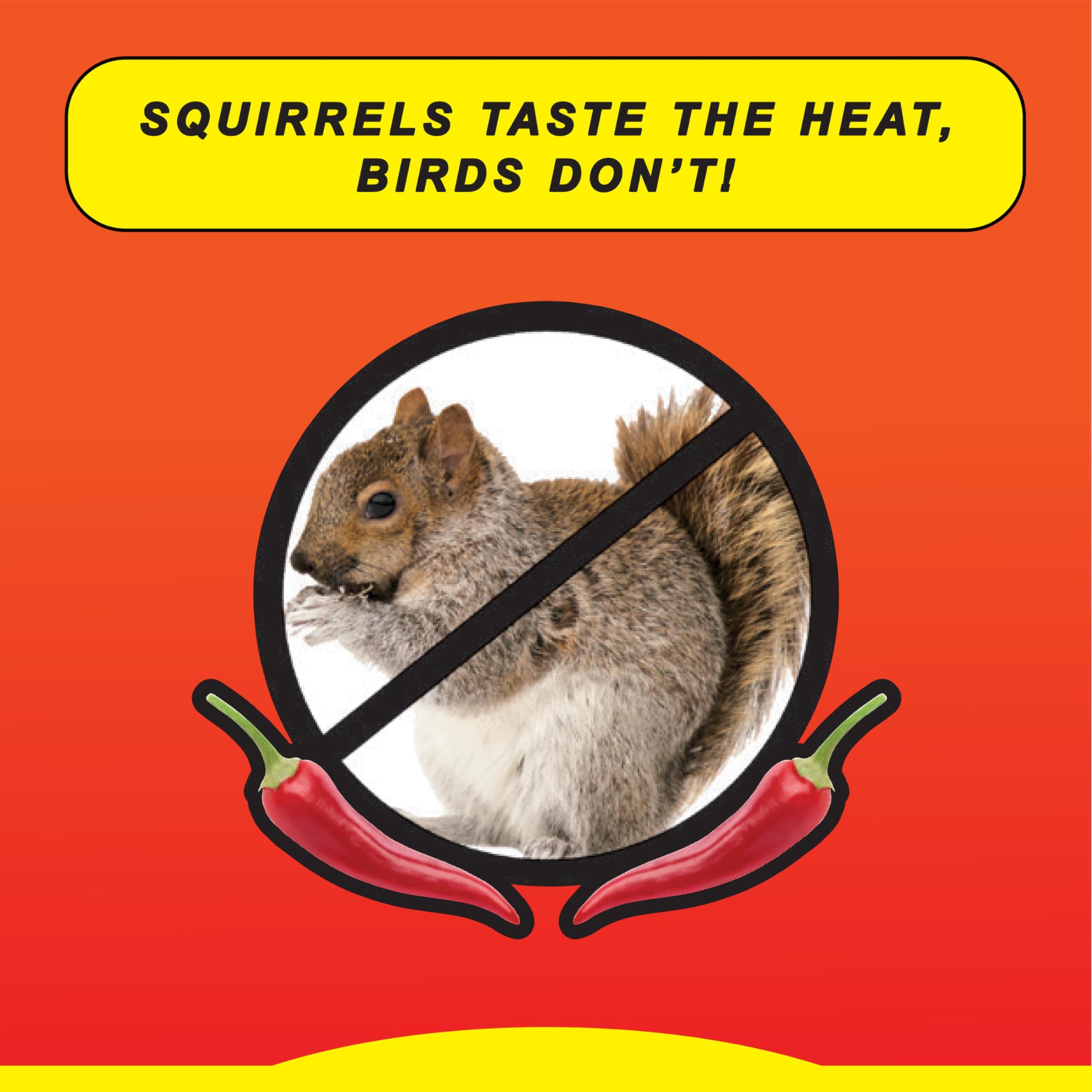 Wild Delight Sizzle N' Heat Bird Food, 5 lb
