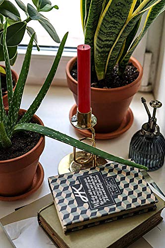Hyoola 10 Inch Dinner Candles - 12 Pack - Red Tall Candles - Unscented Rustic Candles - Long Burning Candle Sticks