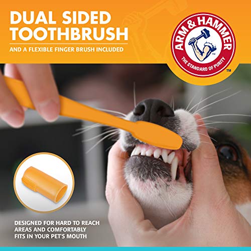 Arm & Hammer for Pets Fresh Breath Kit for Dogs | Contains Toothpaste, Toothbrush & Fingerbrush | Reduces Plaque & Tartar Buildup | Safe for Puppies, 3-Piece Kit, Vanilla Ginger Flavor