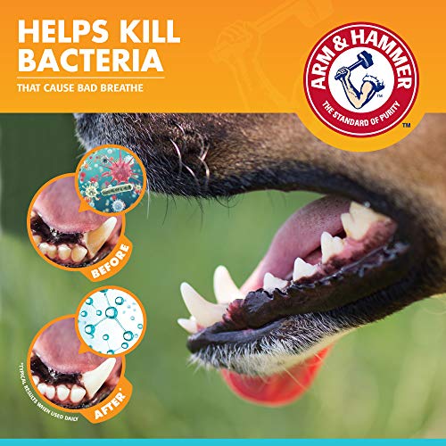 Arm & Hammer for Pets Fresh Breath Kit for Dogs | Contains Toothpaste, Toothbrush & Fingerbrush | Reduces Plaque & Tartar Buildup | Safe for Puppies, 3-Piece Kit, Vanilla Ginger Flavor