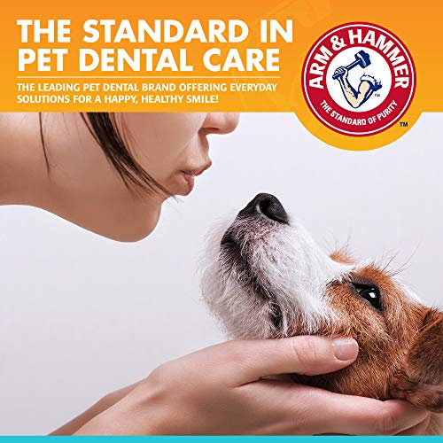 Arm & Hammer for Pets Fresh Breath Kit for Dogs | Contains Toothpaste, Toothbrush & Fingerbrush | Reduces Plaque & Tartar Buildup | Safe for Puppies, 3-Piece Kit, Vanilla Ginger Flavor
