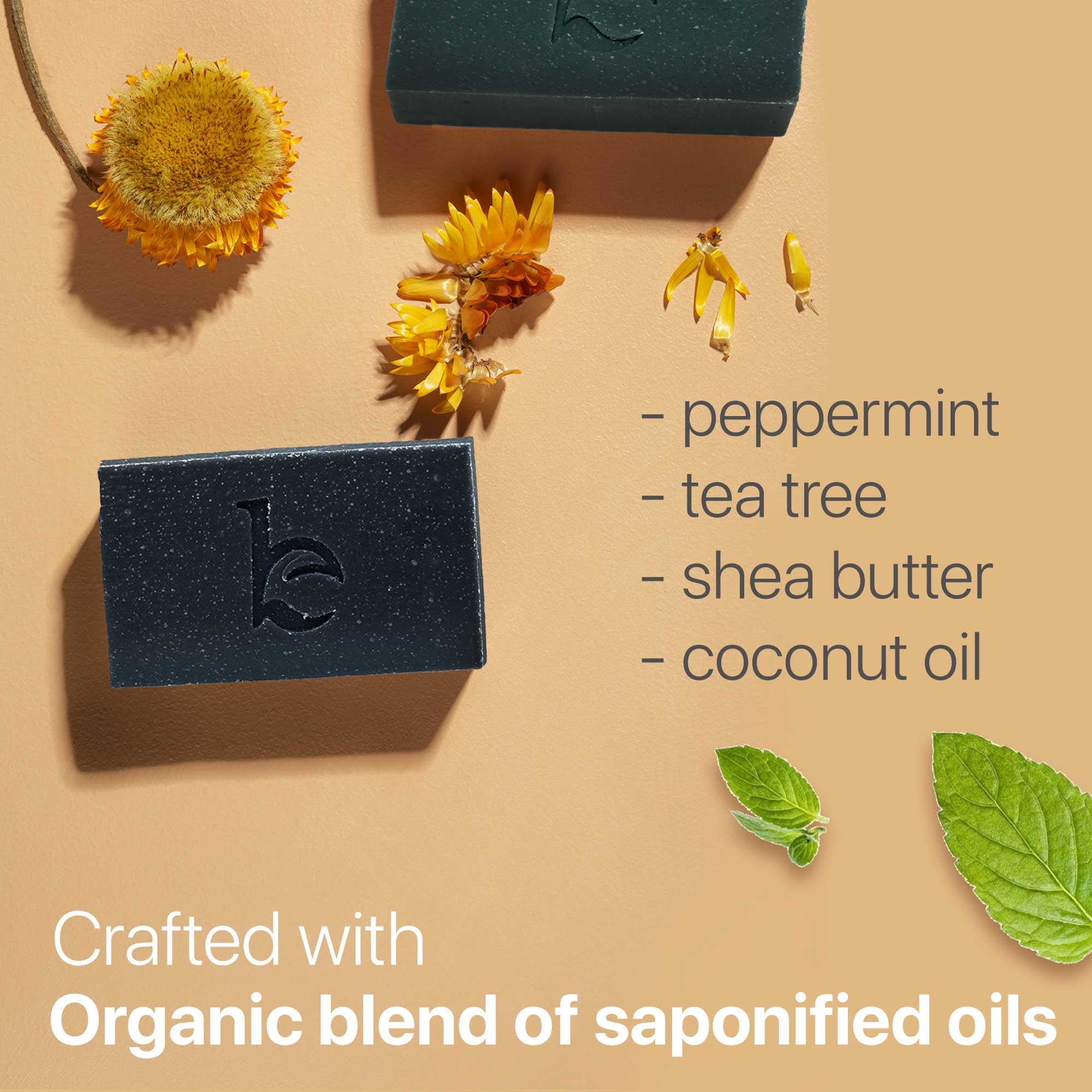 Peppermint Tea Tree Charcoal Facial Bar Soap - USA Made with Natural & Organic Ingredients, Face Wash Black Soap Bar for Acne, Eczema & Psoriasis, Detoxifying Charcoal for Oily & Sensitive Skin