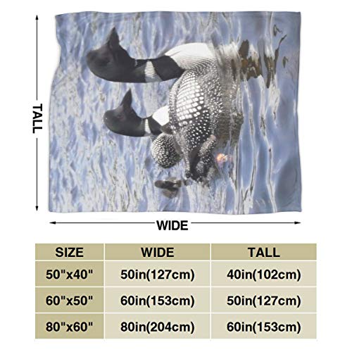 YUNIKER Blanket Loon Lake Duck Warm Super Soft Home Blanket Lightweight Plush Throw Blanket Microfiber Premium Sherpa Blanket for Couch Sofa Bed 80"" x60