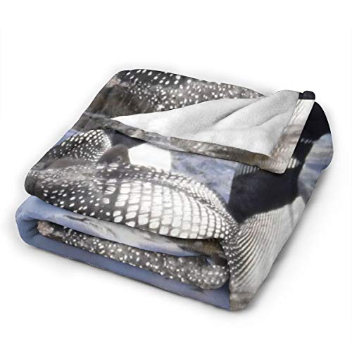YUNIKER Blanket Loon Lake Duck Warm Super Soft Home Blanket Lightweight Plush Throw Blanket Microfiber Premium Sherpa Blanket for Couch Sofa Bed 80"" x60
