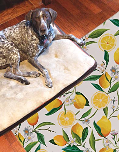 Linon The Anywhere Washable Rug Wesley Ivory/Yellow 3' X 5' Accent Rug