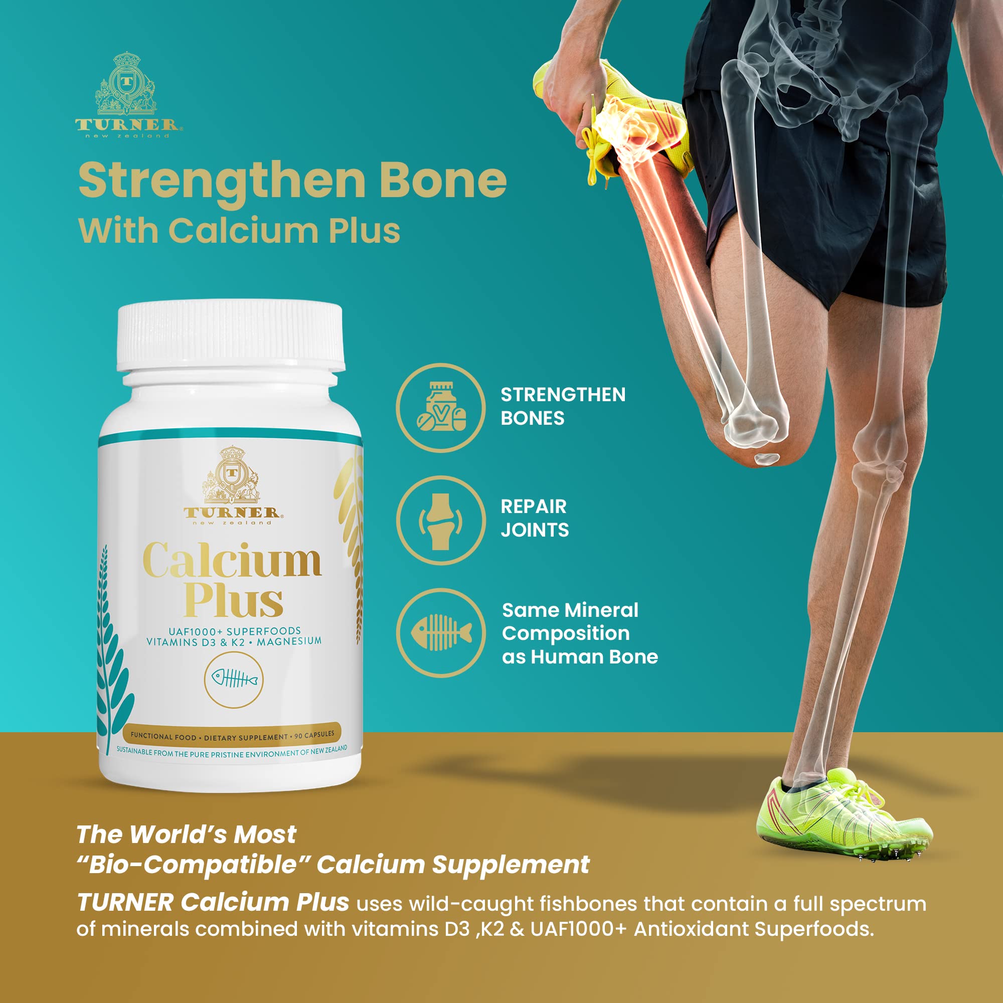 TURNER Calcium Plus, All-Natural Marine Calcium Supplement, with UAF1000+ Super Antioxidant, Magnesium + Vitamins K2 & D3, Supports Bone Density & Joint Health, 2 Bottles, 180 caps, 2 Month Supply