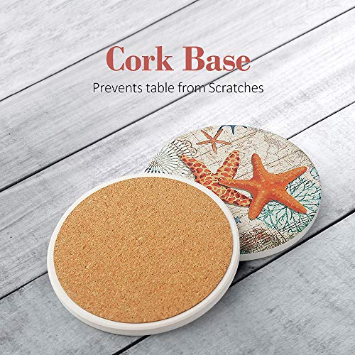 Absorbent Coasters Stone Coaster Set of 8, Cork Base, with Holder, RayPard Beach Theme Sea Life Coastal Coasters for Housewarming Apartment Kitchen Room Bar Decor ,Ocean Life(Black Holder)