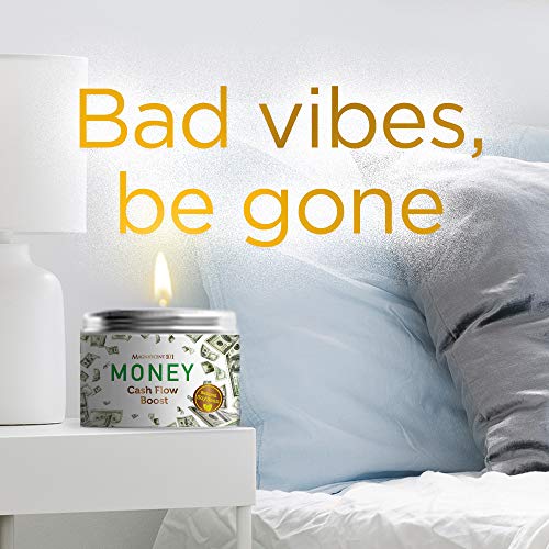 MAGNIFICENT 101 Money Aromatherapy Candle for Getting a Cash Flow Boost - Sage Cinnamon Scented Natural Soybean Wax Tin Candle for Purification and Chakra Healing