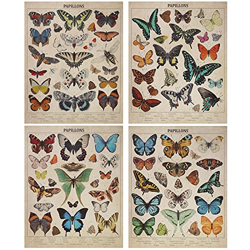 Spiareal 4 Pieces Butterflies Posters Vintage Papillons Butterflies Poster Wall Art Prints Butterfly Printed Wall Art Posters Butterfly Vintage Decor Butterfly Pictures Paper for Home Bedroom