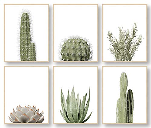 Botanical Plant Wall Art Prints, Cactus Wall Art, Minimalist Wall Art, Boho Wall Decor, Plant Wall Decor, Green Leaves Eucalyptus Pictures Posters, Bathroom Wall Decor, Kitchen Wall Decor (Set of 6, 8X10in, Unframed)