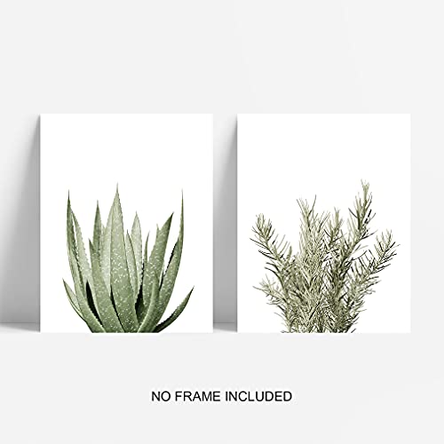 Botanical Plant Wall Art Prints, Cactus Wall Art, Minimalist Wall Art, Boho Wall Decor, Plant Wall Decor, Green Leaves Eucalyptus Pictures Posters, Bathroom Wall Decor, Kitchen Wall Decor (Set of 6, 8X10in, Unframed)