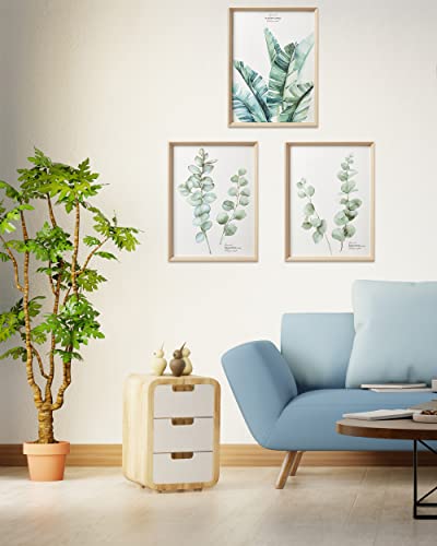 HesenDot Framed Wall Art,Botanical Prints for Bedroom, Minimalist 3 Piece Wood Art Wall Decor Aesthetic, 16x12in High Frame Design Prints Flower Green Eucalyptus Leaf Artworks, MDF Framed Poster for Kitchen, Bathroom, Bedroom Set of 3