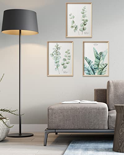 HesenDot Framed Wall Art,Botanical Prints for Bedroom, Minimalist 3 Piece Wood Art Wall Decor Aesthetic, 16x12in High Frame Design Prints Flower Green Eucalyptus Leaf Artworks, MDF Framed Poster for Kitchen, Bathroom, Bedroom Set of 3