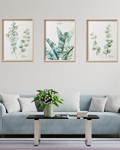 HesenDot Framed Wall Art,Botanical Prints for Bedroom, Minimalist 3 Piece Wood Art Wall Decor Aesthetic, 16x12in High Frame Design Prints Flower Green Eucalyptus Leaf Artworks, MDF Framed Poster for Kitchen, Bathroom, Bedroom Set of 3