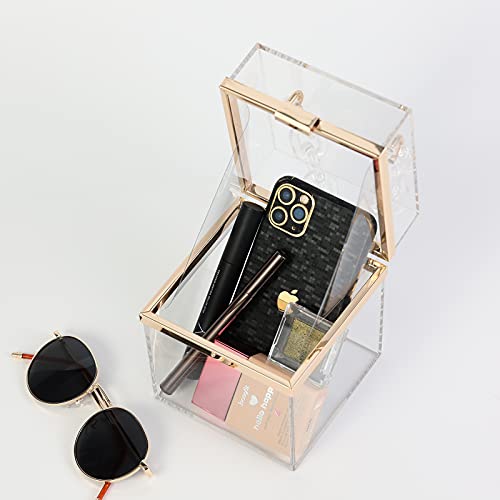 WJCD Cute Clear Acrylic Plastic Neon Hard Frame Party Clutch Purse with Gold Chain Strap (Transparent)
