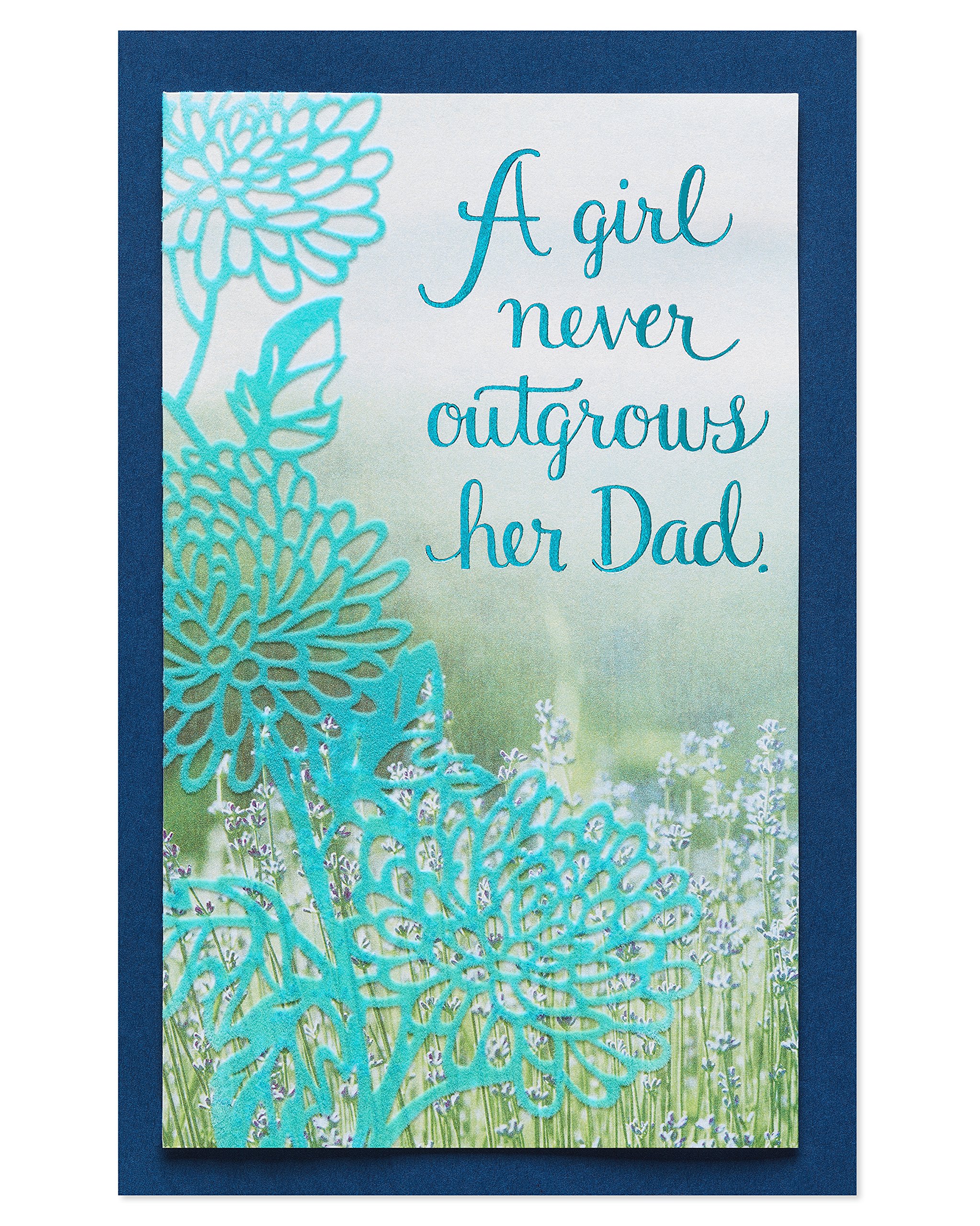 American Greetings Birthday Card for Dad from Daughter (My Hero)