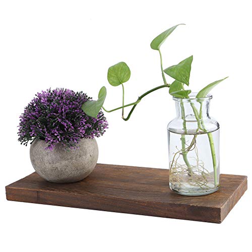 AMONIDA Floating Shelves, Brown Paulownia Wall Mounted Floating Wall Shelves, Rustic Wood Wall Shelves, Storage Shelves for Bedroom, Living Room, Bathroom, Kitchen, Office and More(11.8x5.5x0.8in)
