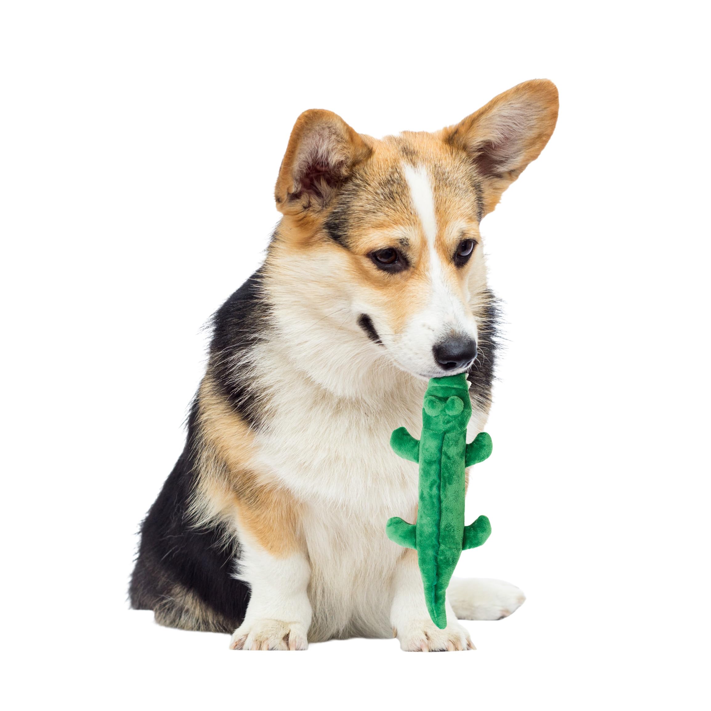Ethical Pets SPOT Crunch and Squeak Plush Dog Toy – Crinkle Bottle Squeaker for Medium Puppies & Dogs, Light to Moderate Chewers, Assorted Styles