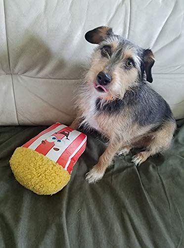 Fun Food Popcorn 5" Soft Plush Dog Toy