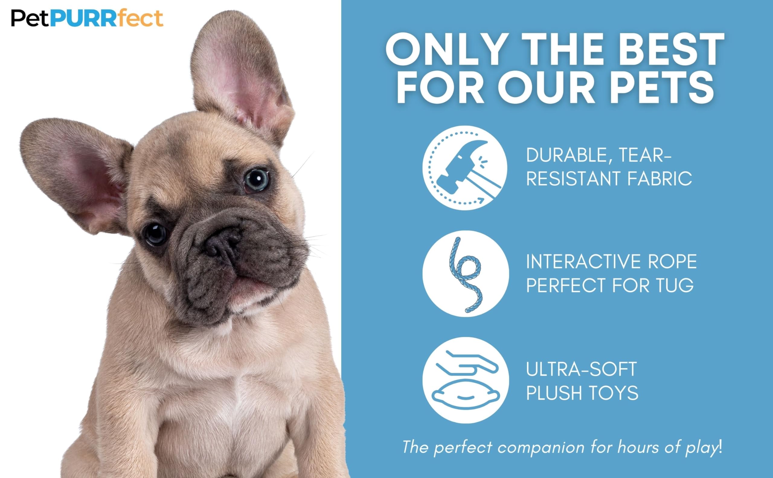 Pet PURRfect Squeaky Dog Toys: Durable Plush Dog Toys with Soft, Durable Fabric for Small and Medium Pets - Elephant Stuffed Dog Toy for Indoor Play!
