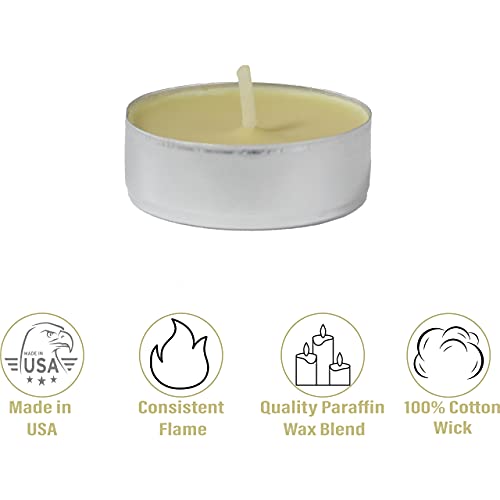 CandleNScent Colored Tea Light Candles | Unscented | Ivory | Made in USA (Pack of 30)