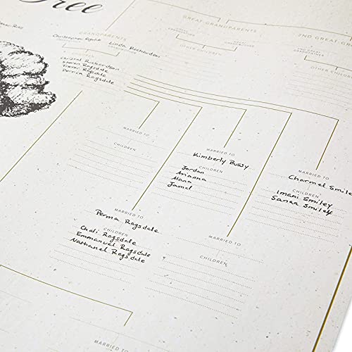 Okuna Outpost Blank Genealogy Chart, My Family Tree (17 x 22 Inches, 15 Pack)